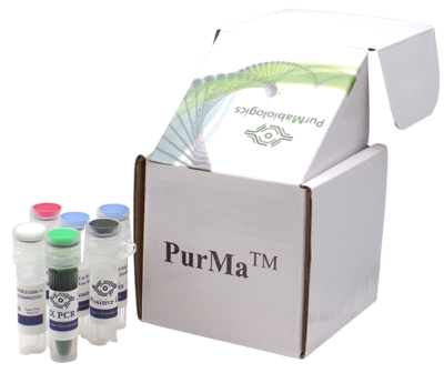 Mycoplasma PCR Detection Kit | PurMa Biologics LLC LLC.